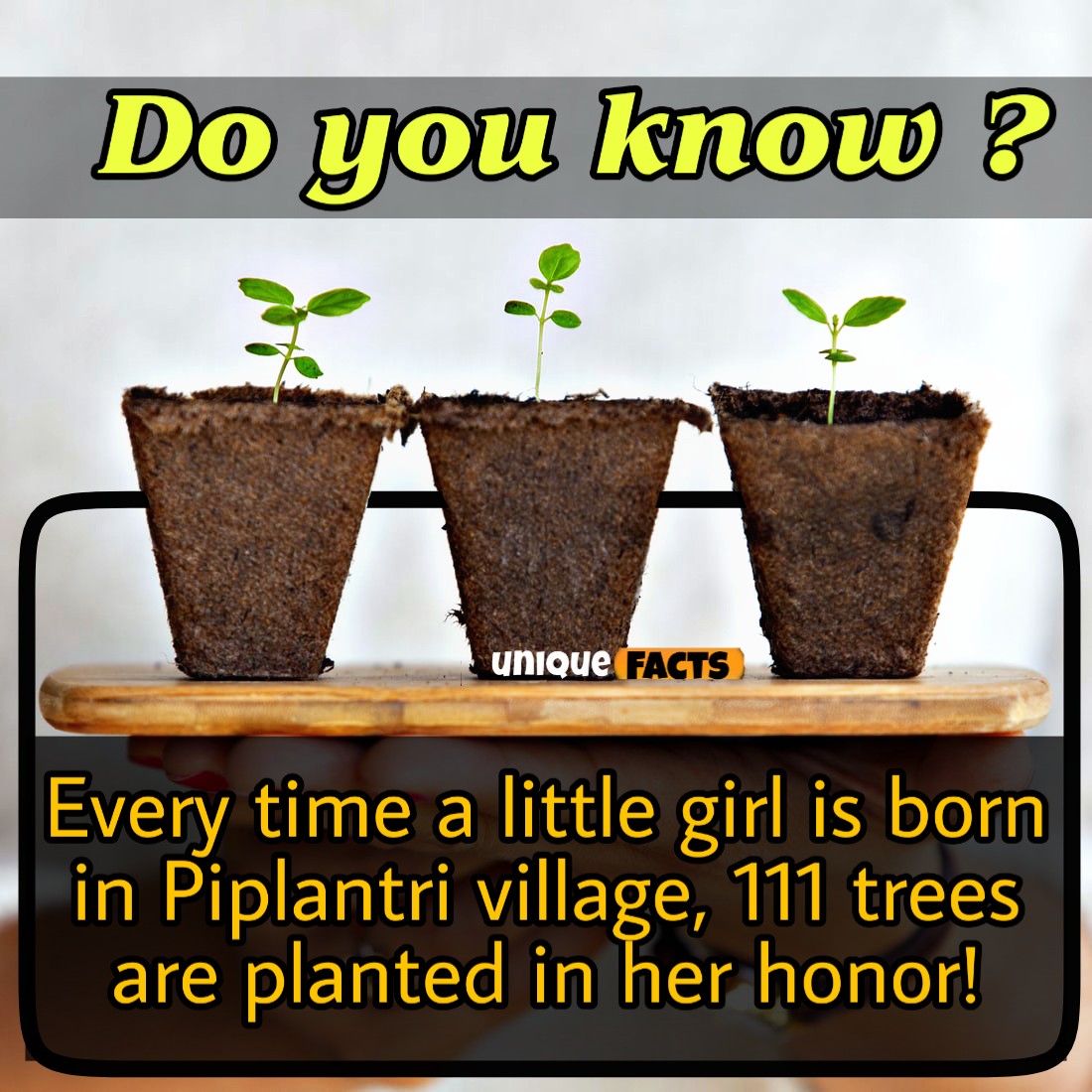 25+ interesting facts images || That's truly blow up your mind ...