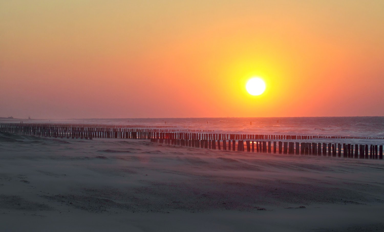 BO629HR: De Noordzee