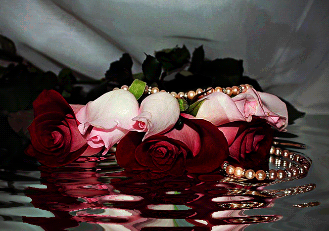 Gif_ROSES_ Animated Images_2_(20 item) | Joy Design Studio