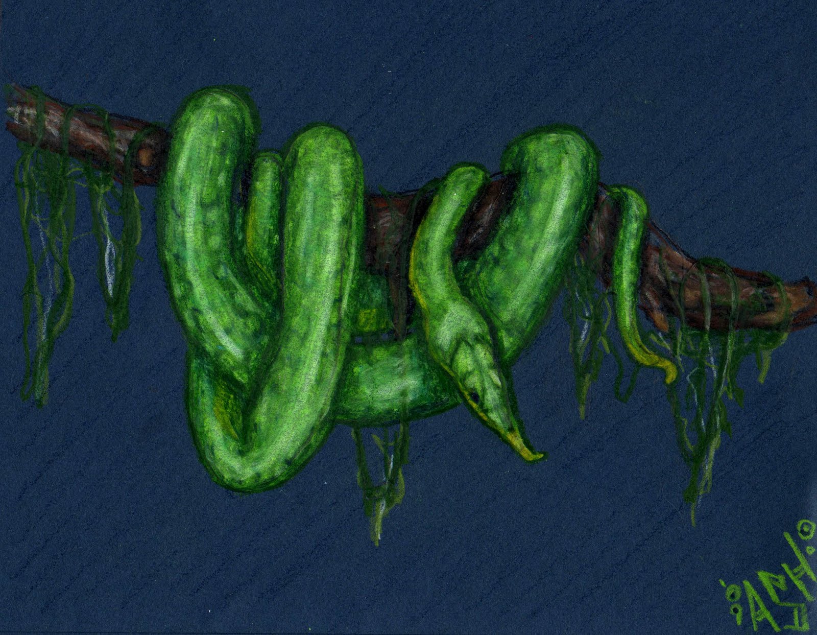 My toroool: HD Wallpaper of Green Snake