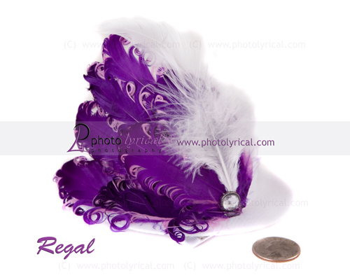 Deal Seeking Photographers: 500 Likers GIVEAWAY!!! Right here!