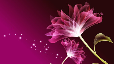 Wallpapers Fleurs - Pack 004 - Wallpapers & Partage