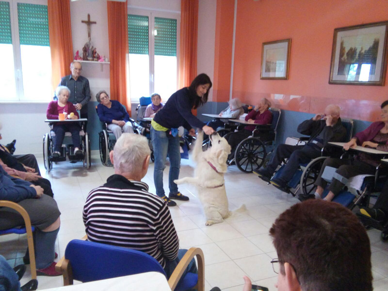 Lo Spigolatore: Pet therapy dentro la Casa dell’Ospitalità F. Marulli ...