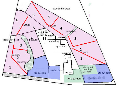5 Acres & A Dream: Pattern in Permaculture Design
