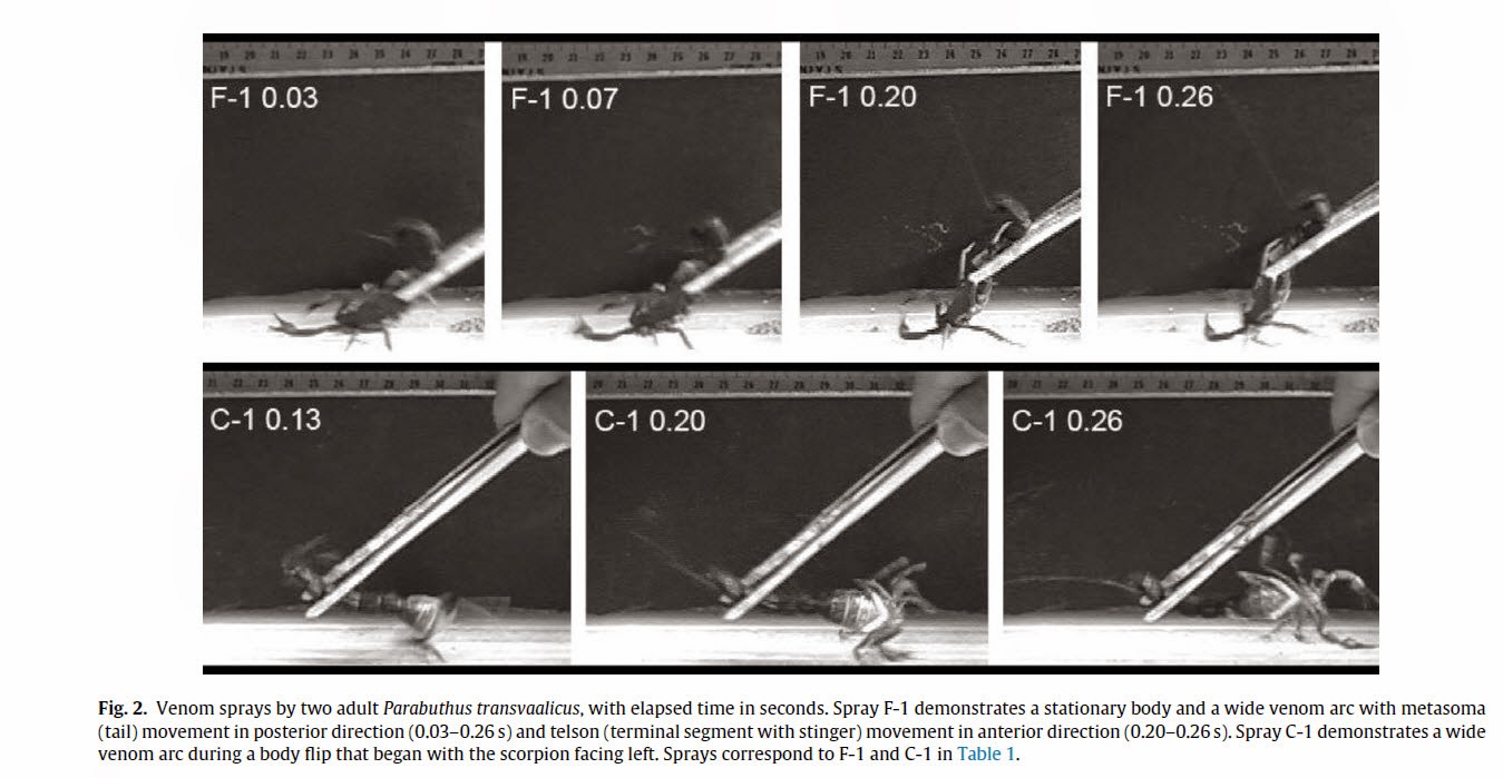 The Scorpion Files Newsblog: March 2015