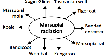 Welcome to the Living World: Evolution - Notes | Class 12 | Part 2 ...