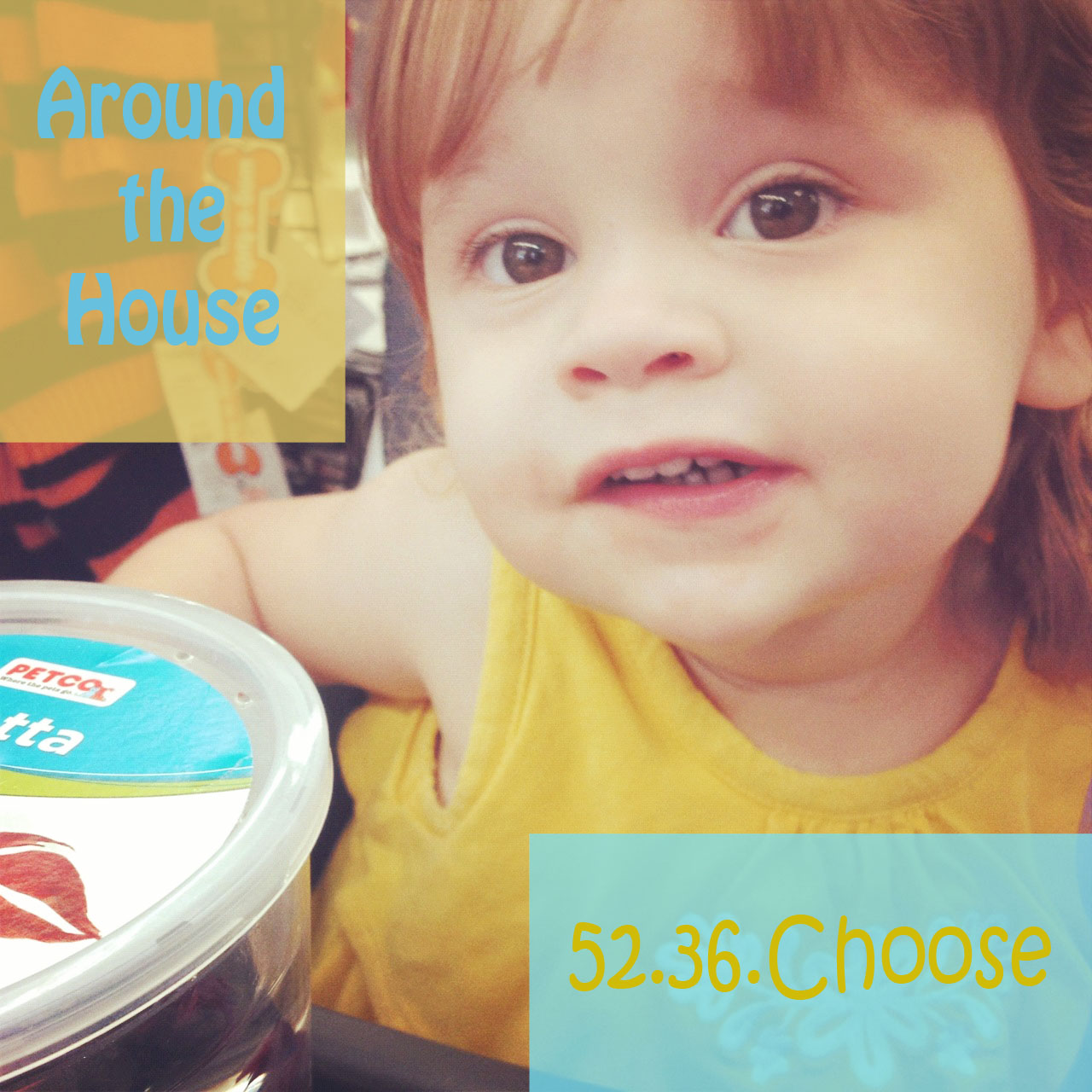 The Life of a Domestique Goddess: 52:36:Choose