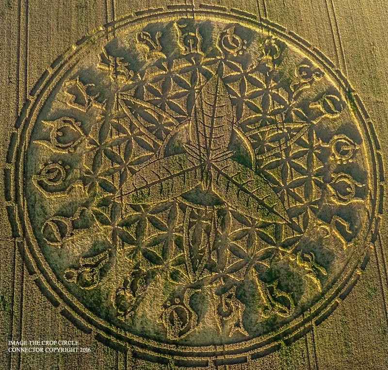 Crops Circles 2016 - THE WORLD OF THE STRANGE