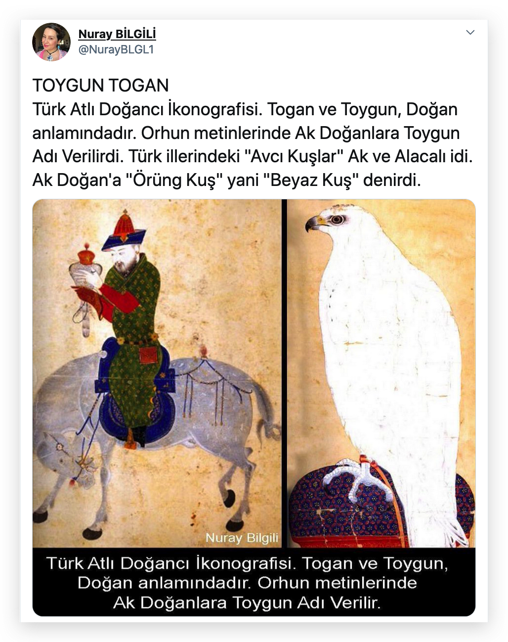 🇹🇷 Türk Dili, Tarihi ve Kültürü 🇹🇷: Toygun Togan