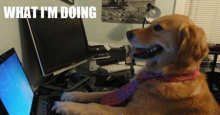 golden age: Programming is dead