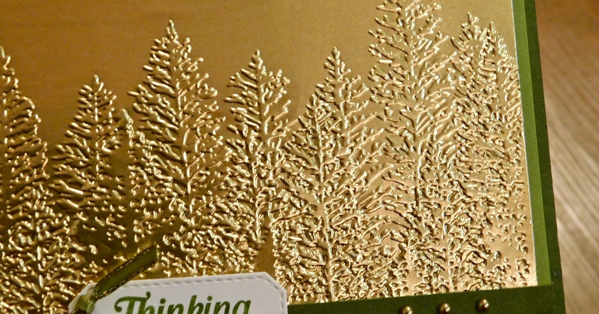 Stamp with Susie: Stampin' Up! Evergreen Forest 3D Embossing Folder