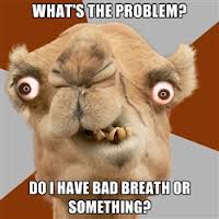 Mr Flabby Less...From Flab 2 Fab!: December 2012