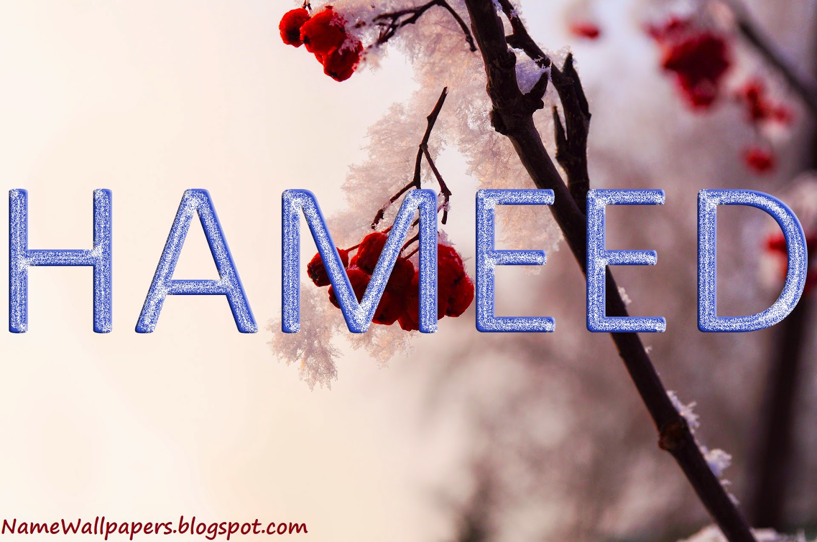 Hameed Name Wallpapers Hameed ~ Name Wallpaper Urdu Name Meaning Name ...