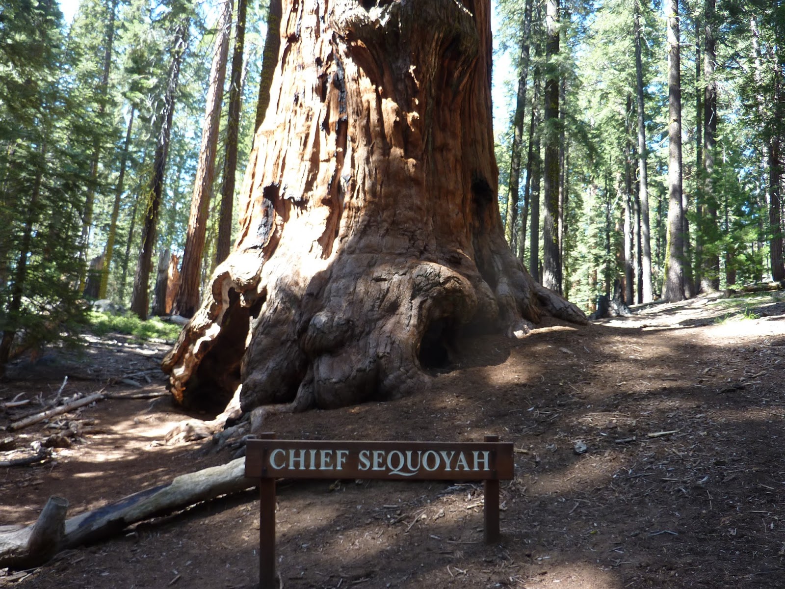 Travels of The Mercury: Northern California 2015, Lake Tahoe to Sequoia ...