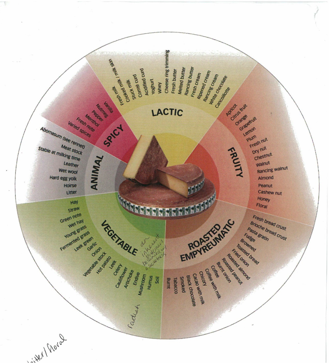 The Art of Crafting & Tasting Great Food: Cheese Tasting Wheel