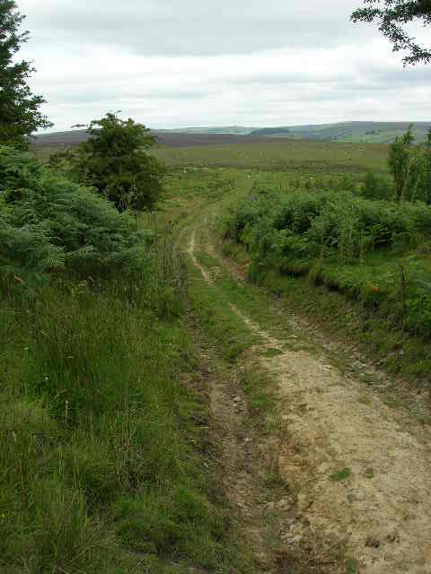 Psychlopetual Motion: Kirkbymoorside - to the highest point on the NYM.