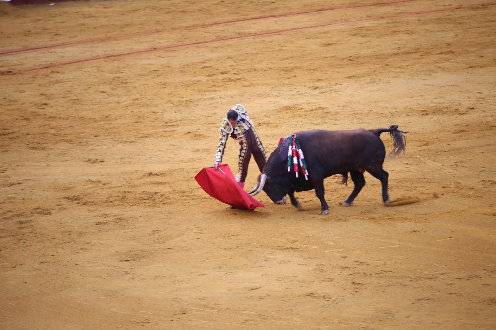 WHIPPERMAN FAMILY ADVENTURES