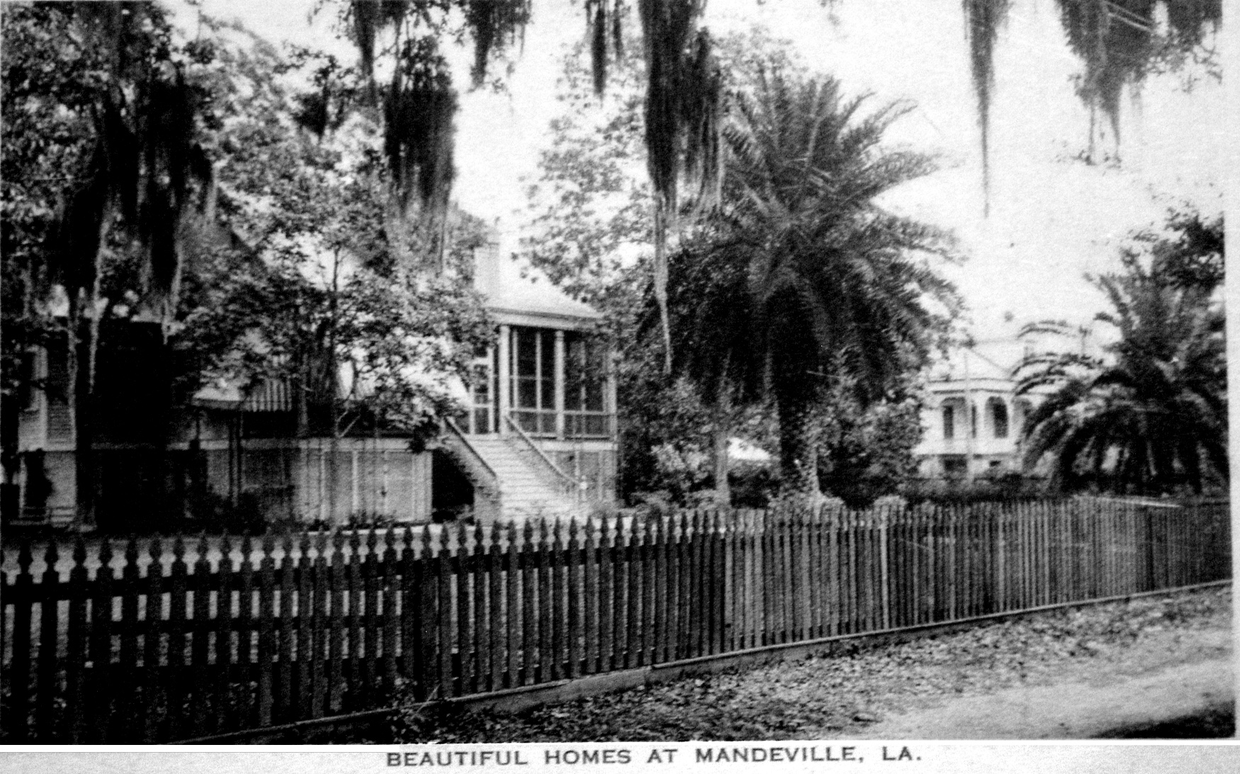 Tammany Family: Mandeville Lakefront