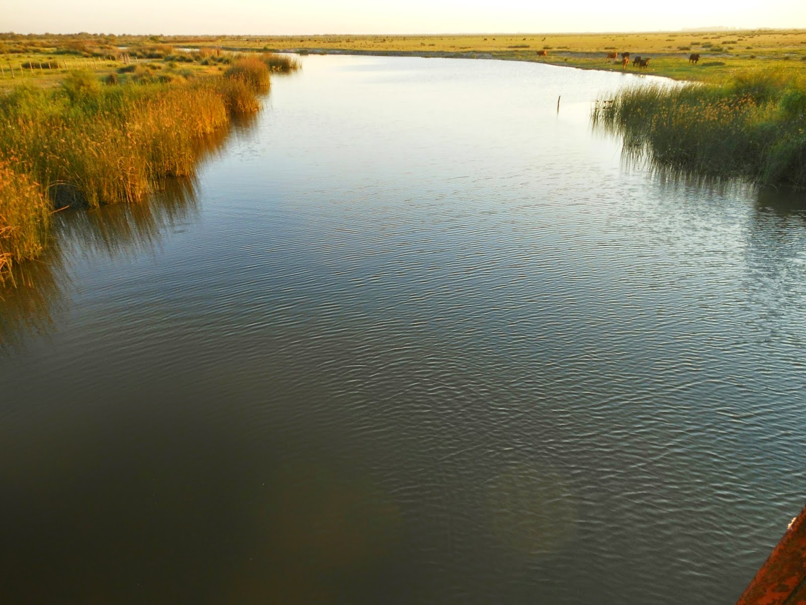CAMINANDO LA PAMPA: Puente sobre el Arroyo Aguiar, Santa Fe, Argentina