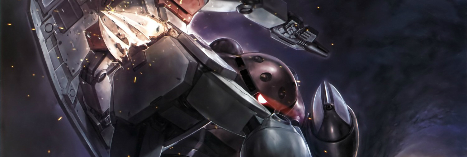 APFRO´s GUNPLA: RG Z´GOK