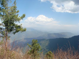 Pakistan Visiting Plases: Galyat Pakistan