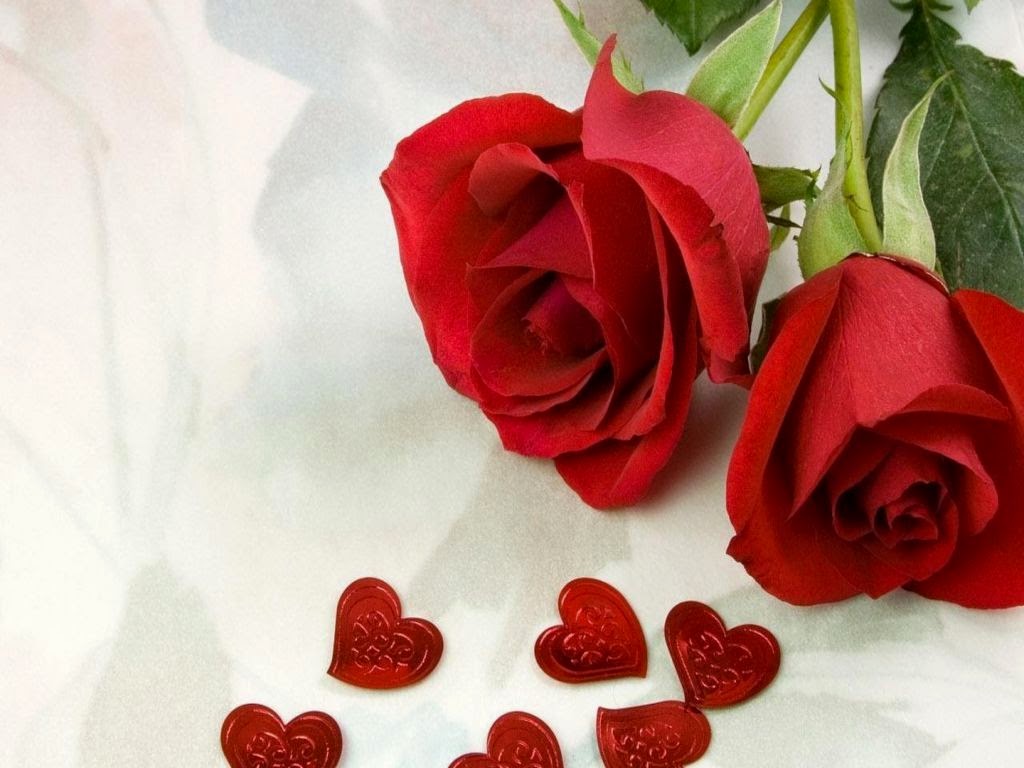 22+ Gambar Bunga Mawar Love Super Keren - Informasi Seputar Tanaman Hias