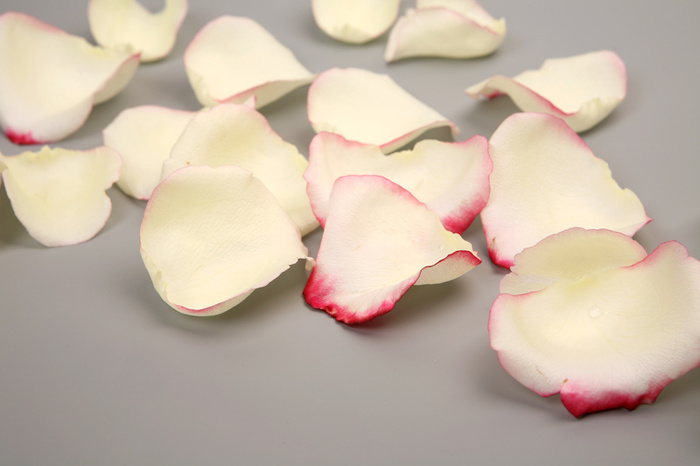 Our Beautiful World: Rose Petals