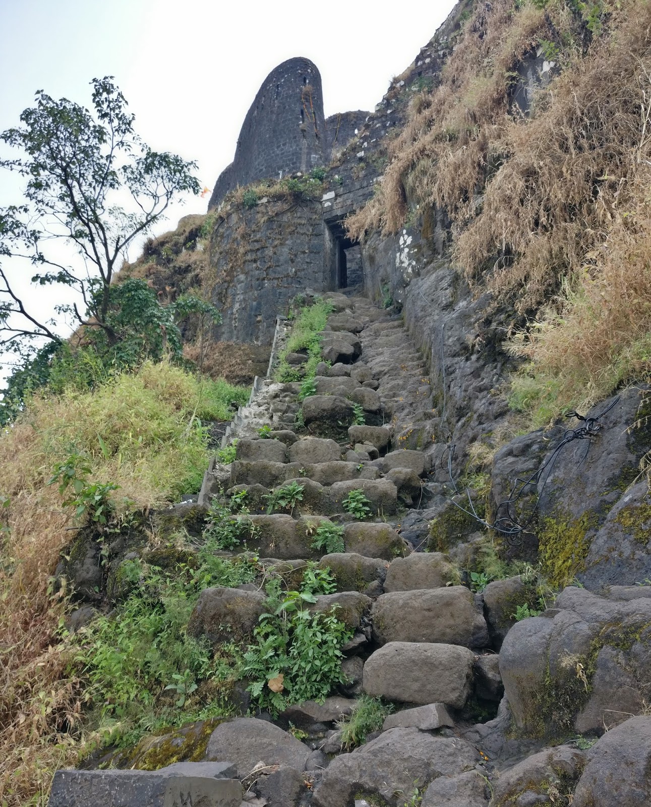 Everything You Need To Know About Tikona Fort Trek - SAMSTRAVELPLAN