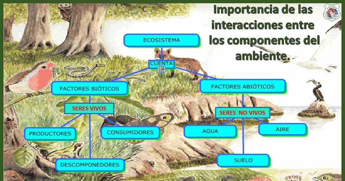 SEXTO GRADO GRUPO "A".: Importancia de las interacciones entre los ...