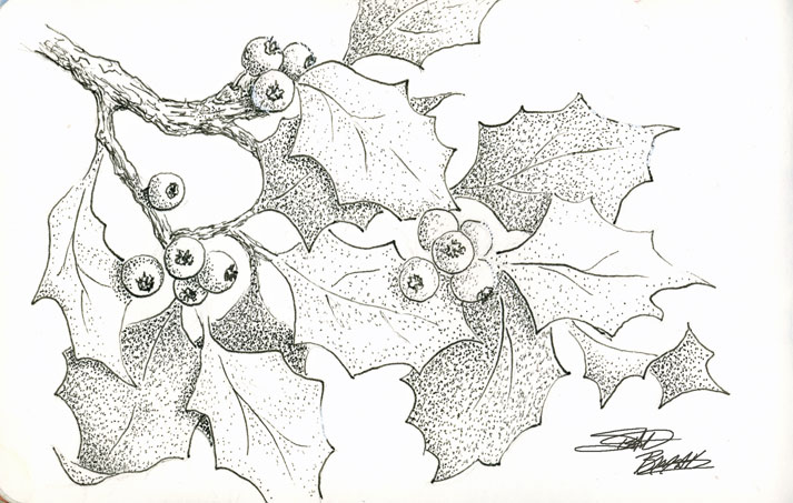 sbwatercolors and sketching: Holly Leaves Pen and Ink plus Watercolor
