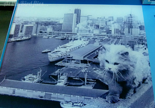 Beside the Yarra: The Cats of Sydney Harbour Bridge