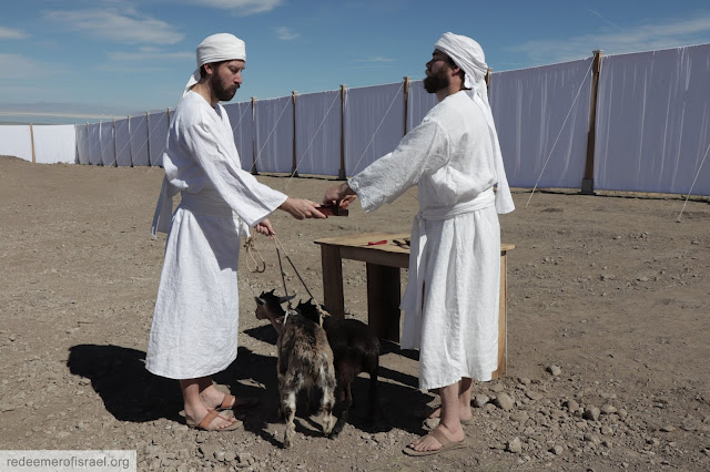 Redeemer of Israel: Understanding the Day of Atonement or Yom Kippur