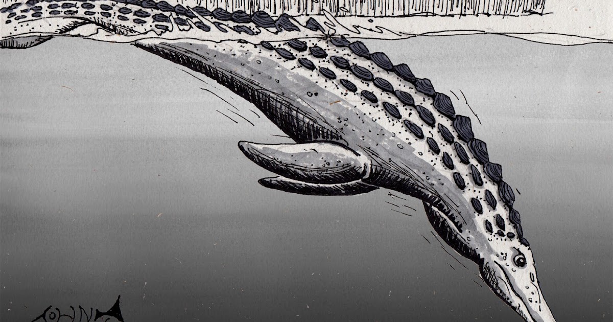 Cryptids State-by-State: Altamaha-ha- Georgia