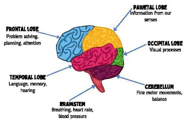 BooksChatter: ☀ A Million Things To Ask A Neuroscientist - Mike Tranter PhD