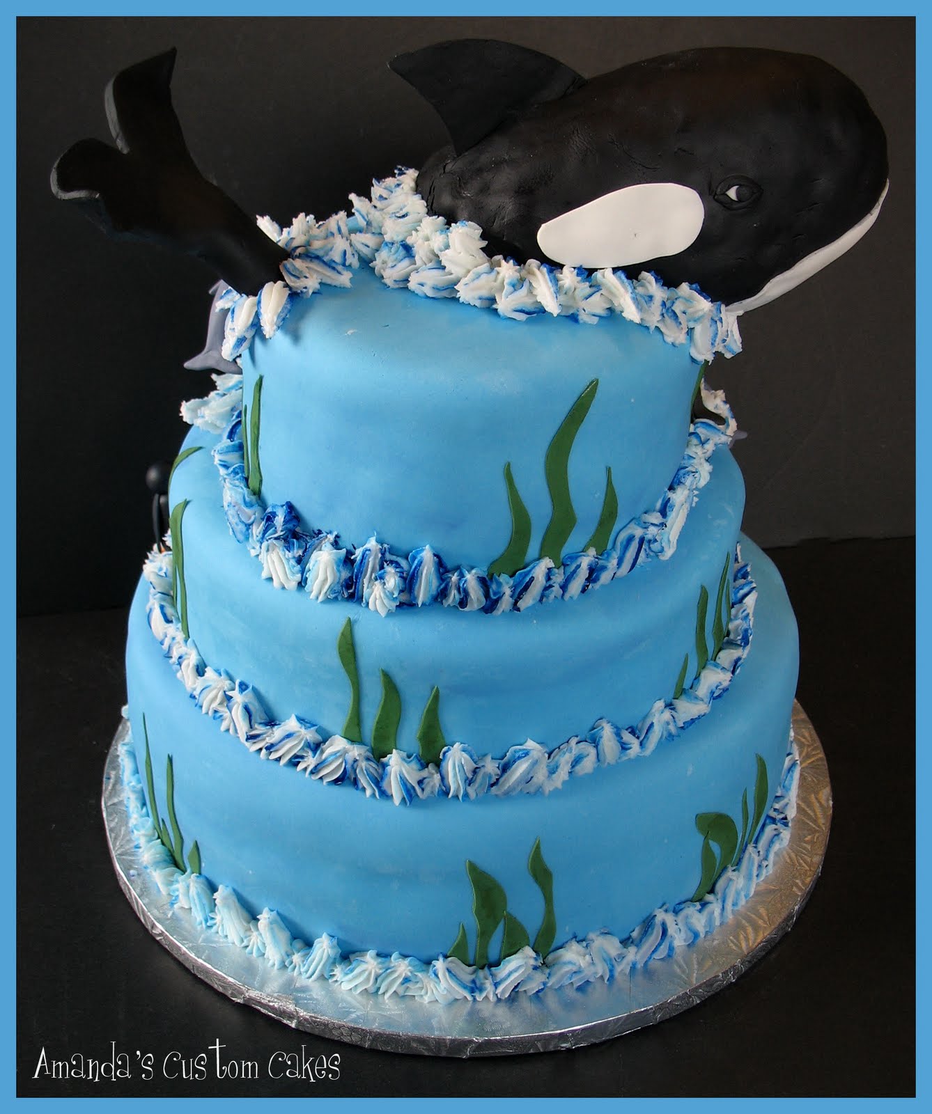 Amanda's Custom Cakes: Sea World themed cake