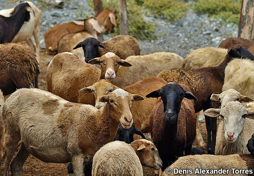 VISION TORRES - IMAGENES DE NUESTRO MUNDO: LOS VALLES SECOS DE MÉRIDA ...