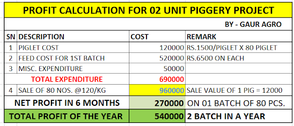 HOW TO START PIG FARMING PROJECT (10+01) PROFIT AND EXPENDITURES