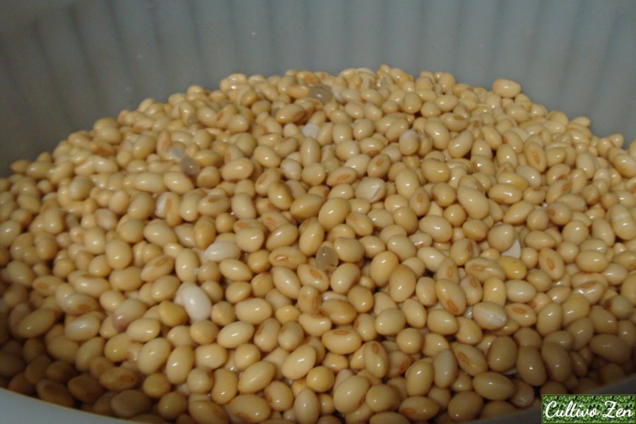Cultivo Zen: NATÔ (Nattoo ou Nattō) – SOJA FERMENTADA