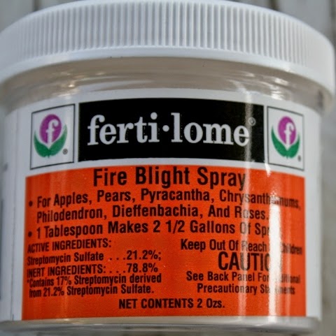 The Flower Bin: Treating Fireblight