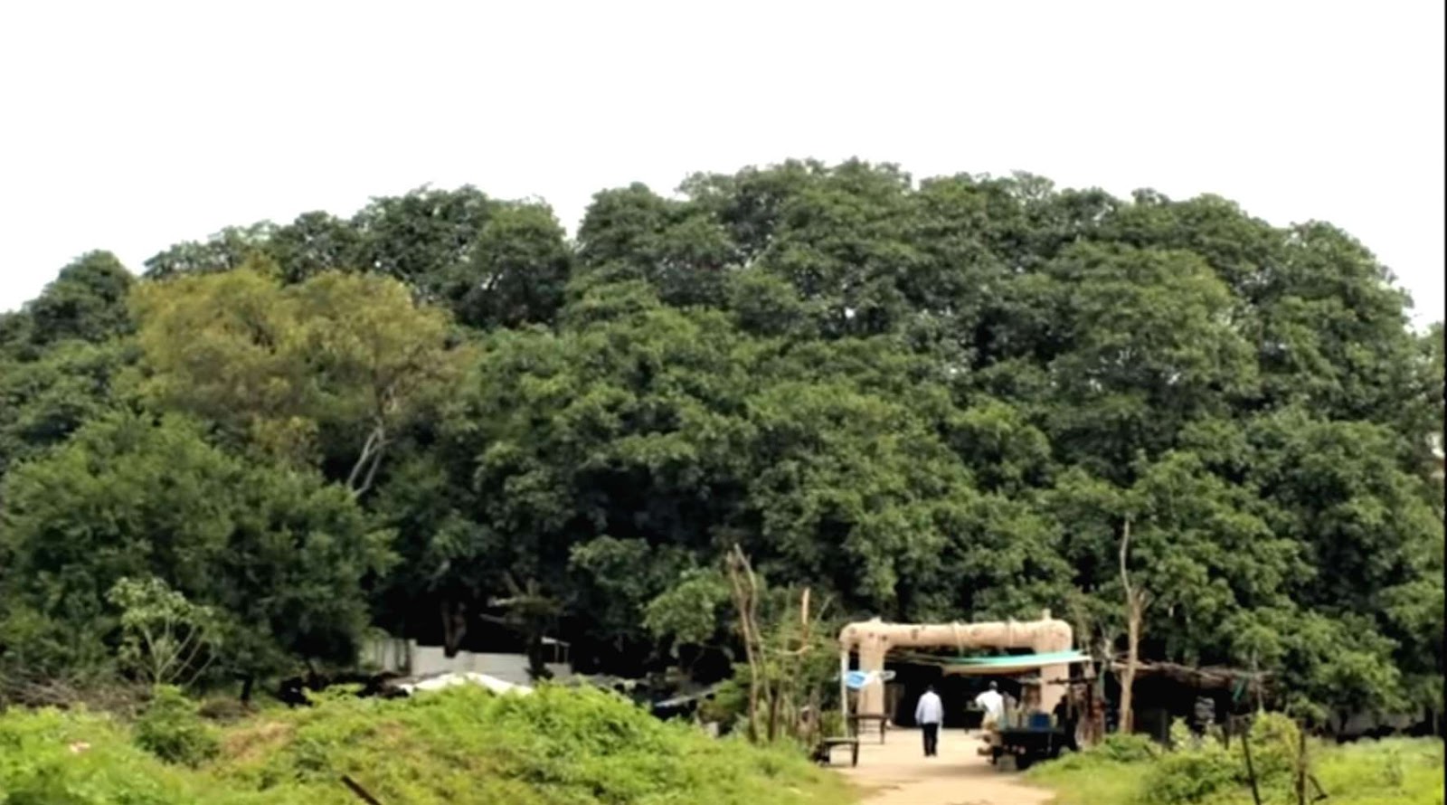 Kabirvad PhotosPlaces to Visit in Gujarat