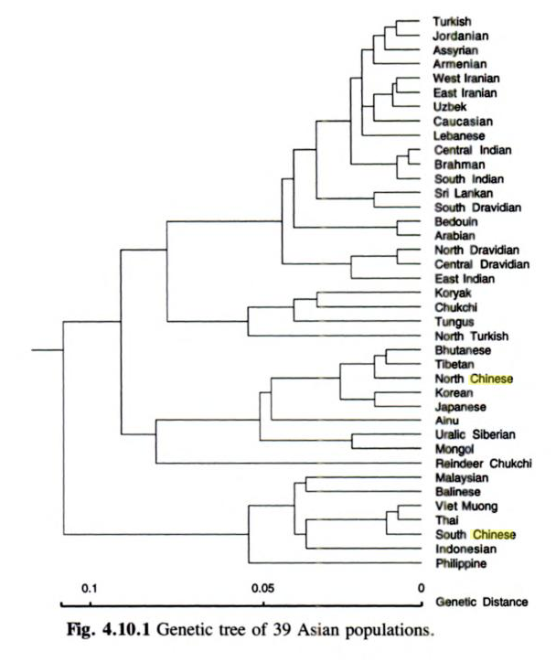 Southern Han Chinese and their relationship with the Baiyue