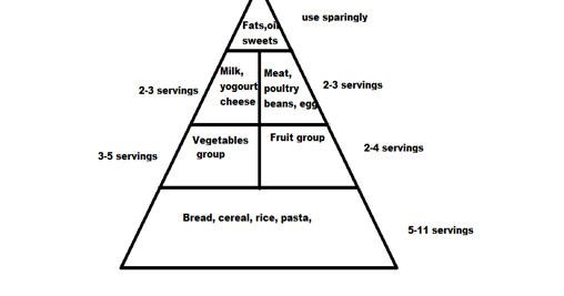 Food guide pyramid