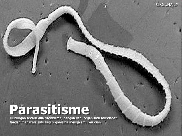 Interaksi Antara Organisma Hidup : Mangsa-Pemangsa, Persaingan ...