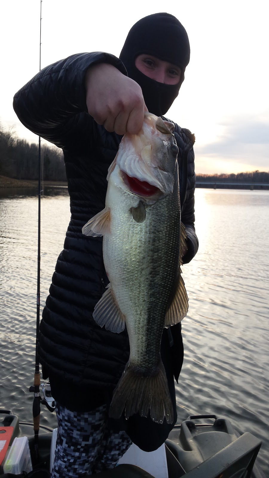 Tennessee Bass Fishing
