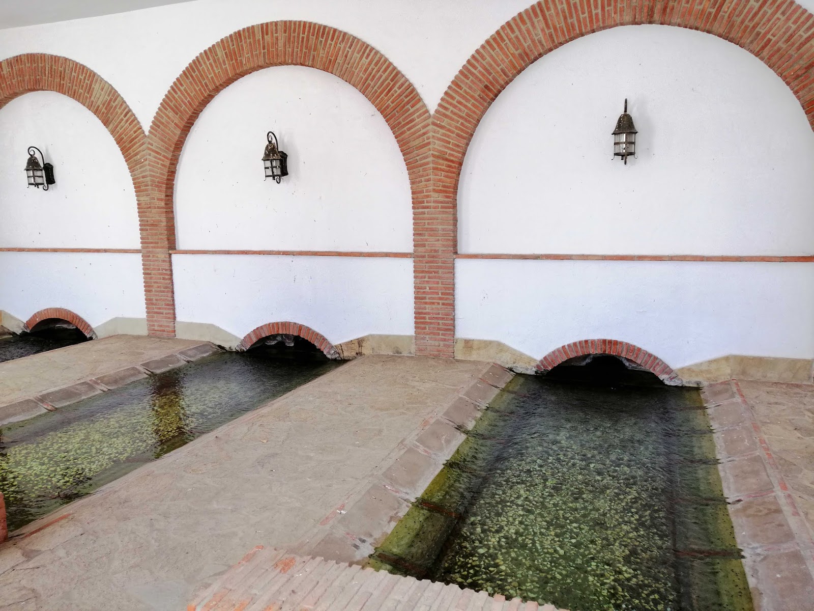 Qué ver en Algodonales - Un Destino Entre Mis Manos