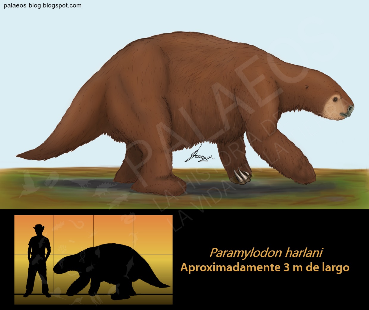 Palaeos, la historia de la Vida en la Tierra: marzo 2016