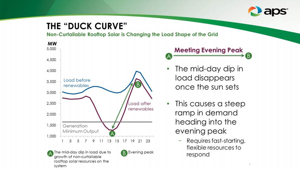 Slash Carbon: The "Duck Curve"