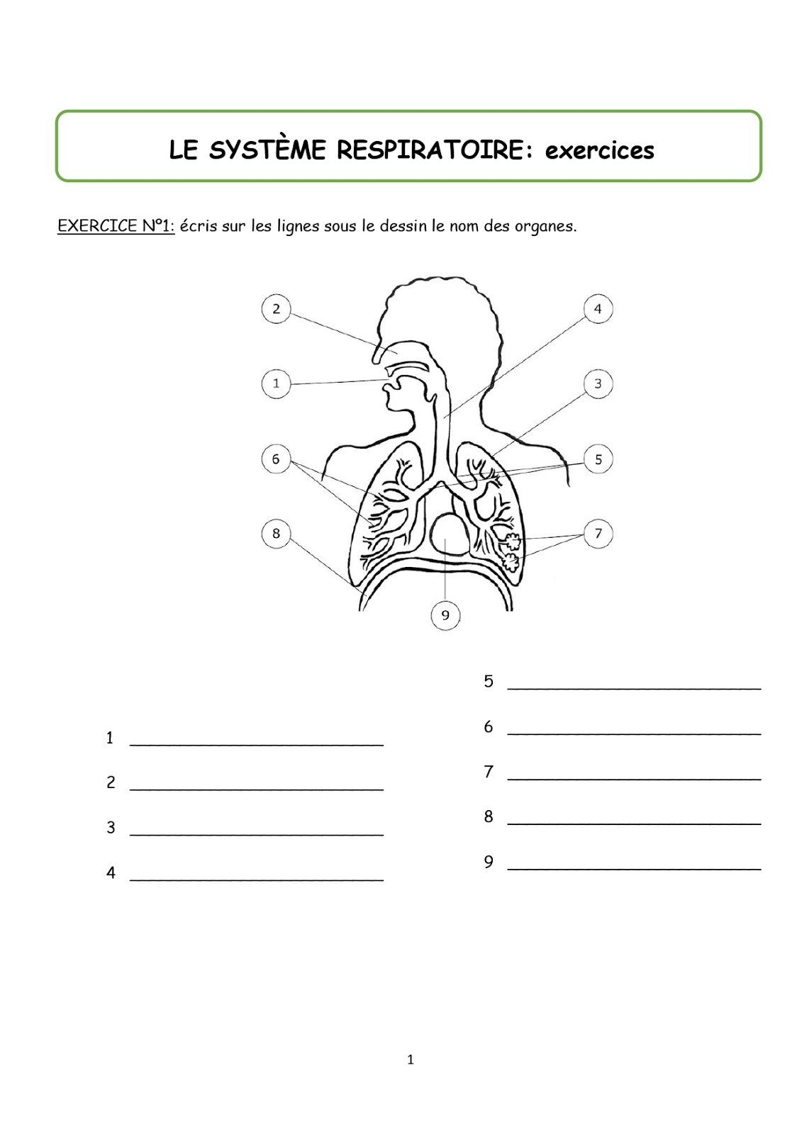 CEIP Pío XII Huesca: exercices LA RESPIRATION