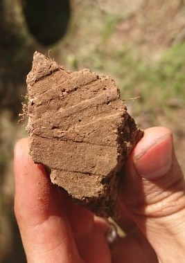 Fleeting Remains of the Comb Ceramic Ruskiasuo