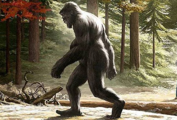 Every Country Has Its Own Bigfoot: The Wildman Of China